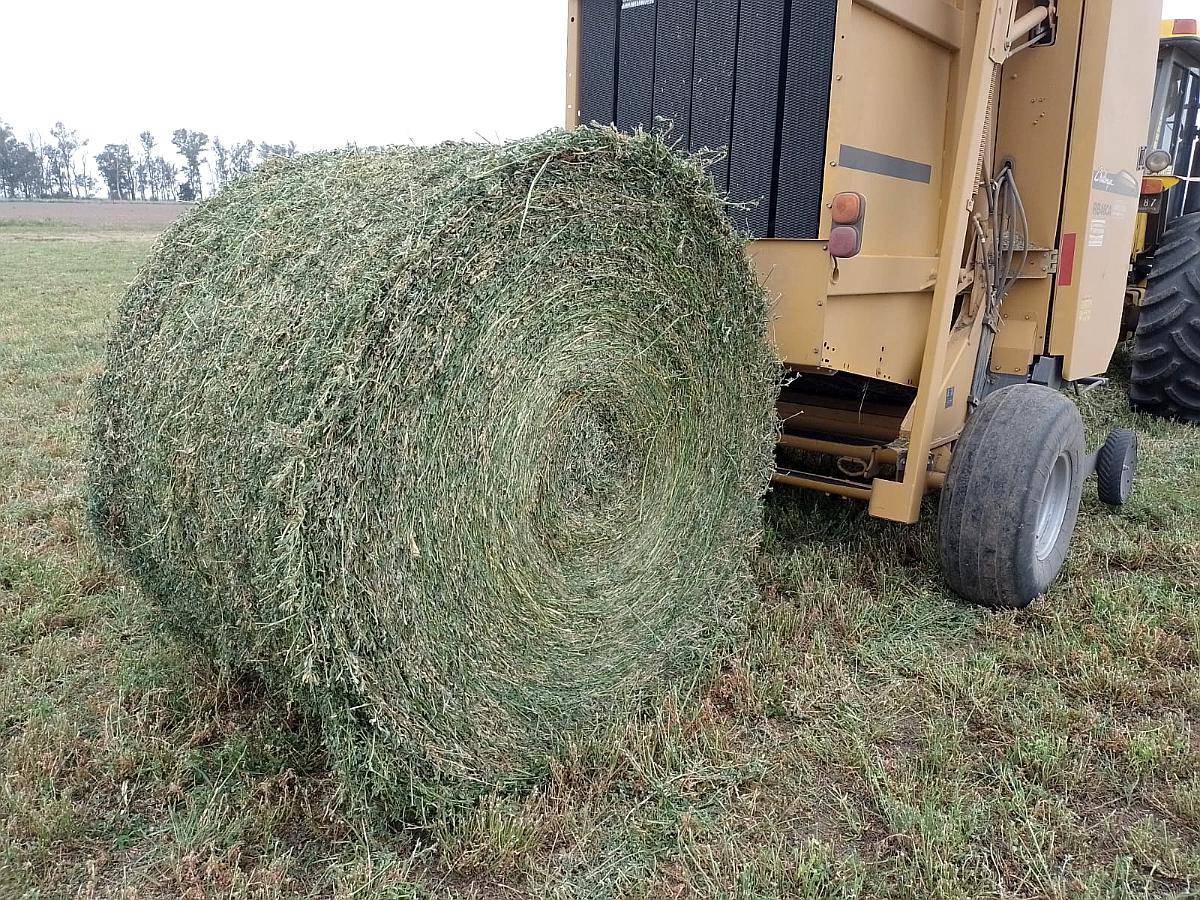 Rollos de Alfalfa - 1.20 Mts Ancho. - $ 6.570 - Agroads