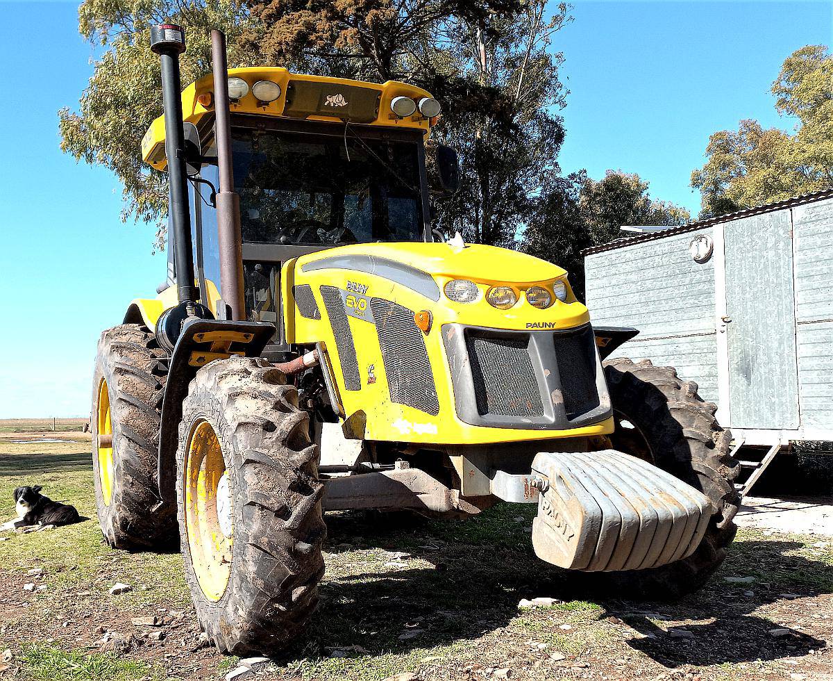 Pauny 230a EVO Hidráulico Centro Abierto - Año: 2019 - Agroads