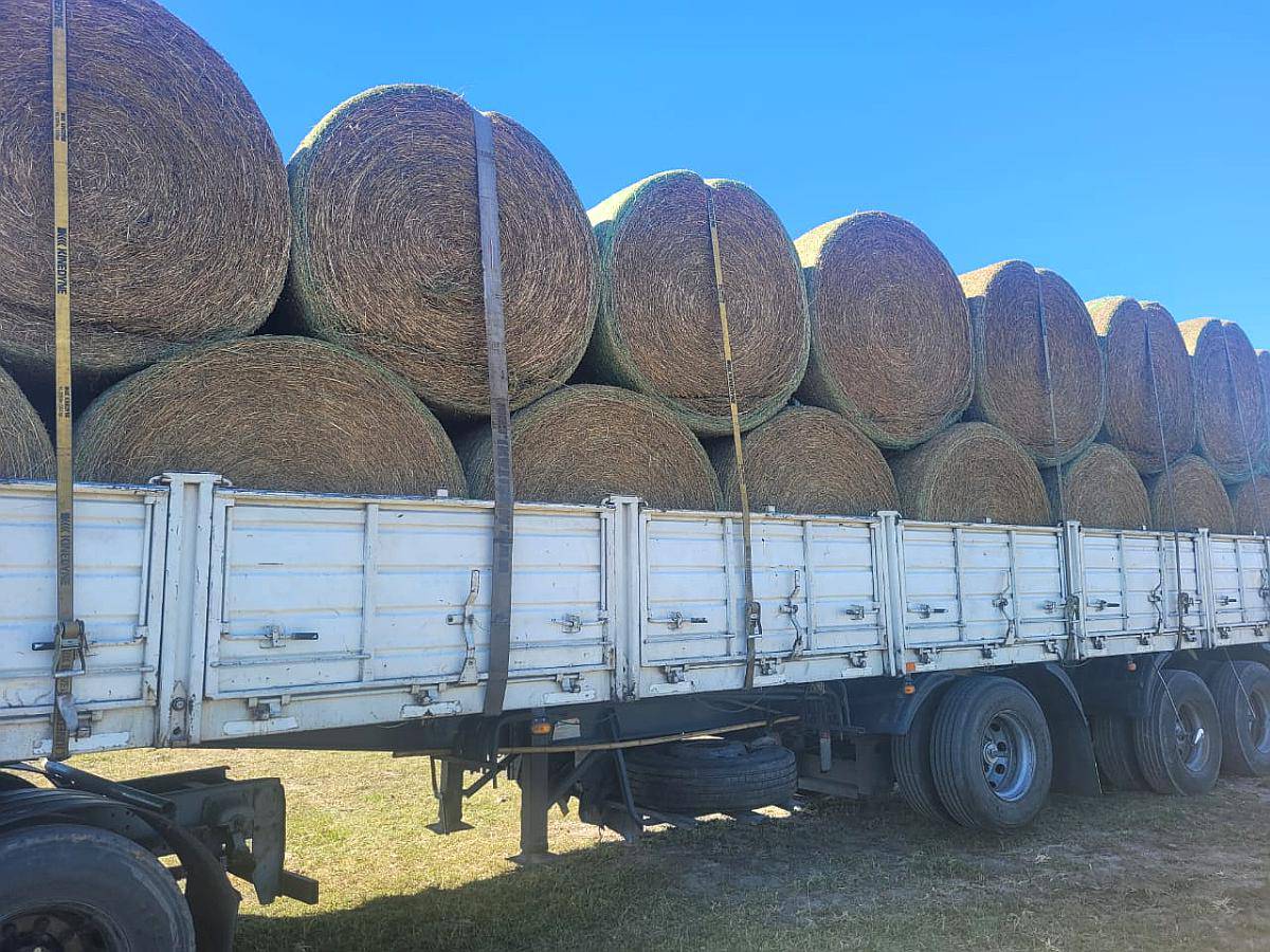 Fardo de Primera Calidad - Agroads (cod: 933494)