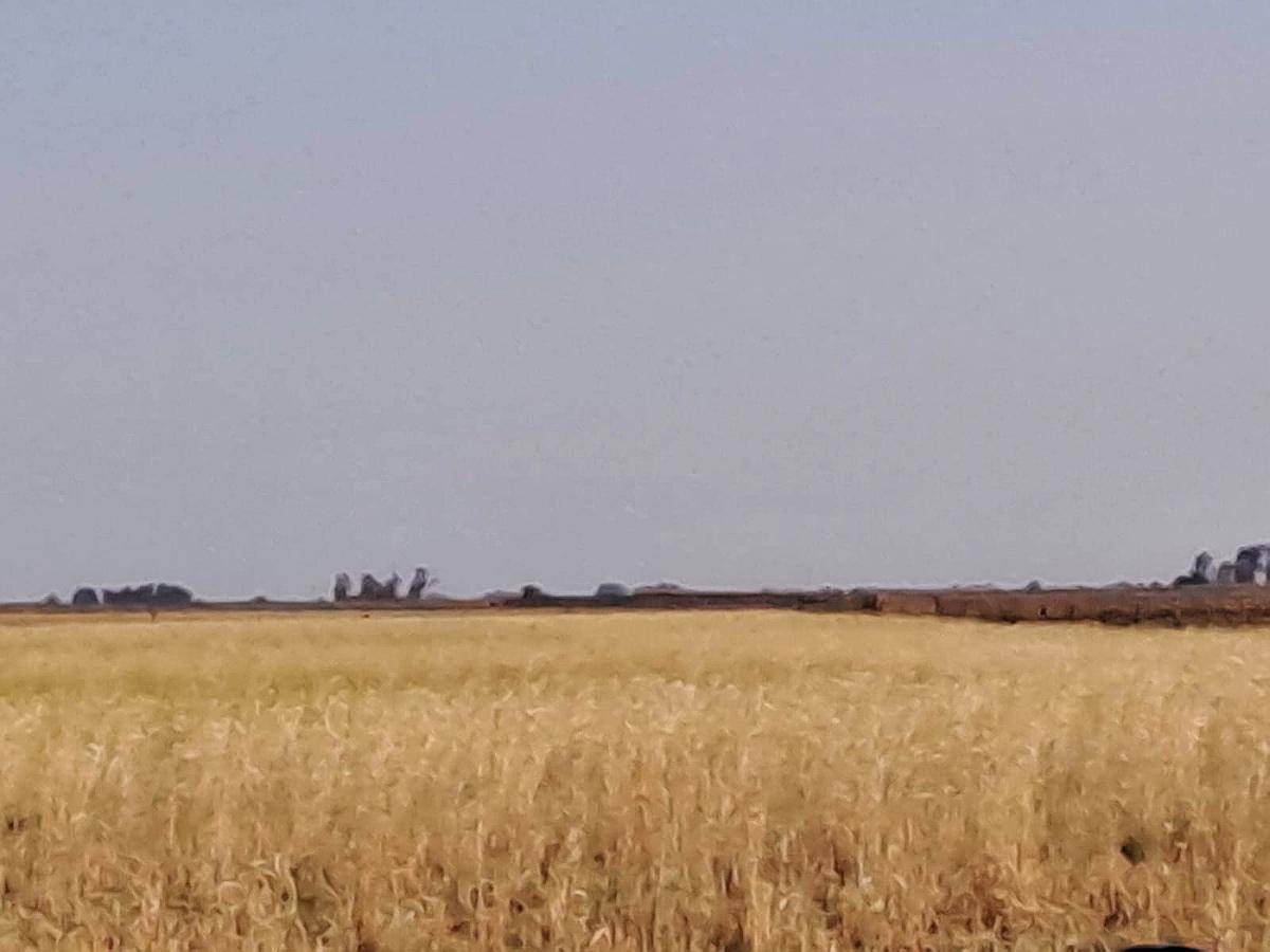 Campos 20 Hectareas y 12.5 Hectareas - u$s 15.000 / ha - Agroads