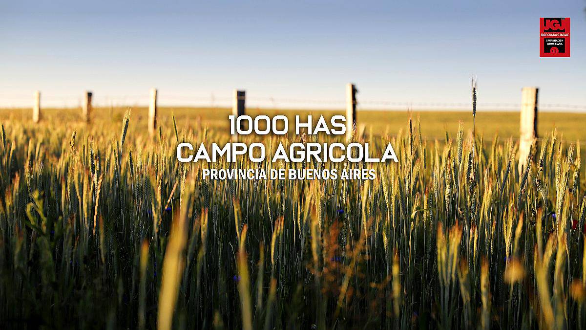 1000 Has Agrícolas, Provincia de Buenos Aires. 1000 hectáreas. - Agroads