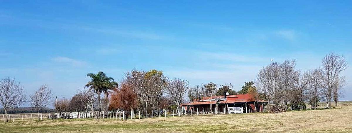 Campo Agrícola 617 HA, Aldea San Antonio, Entre Ríos.. 617 hectáreas ...