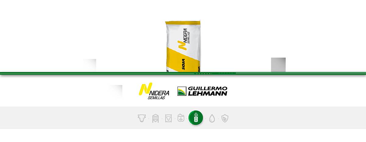 Ns 5258 - Semillas de Soja Nidera - Agroads