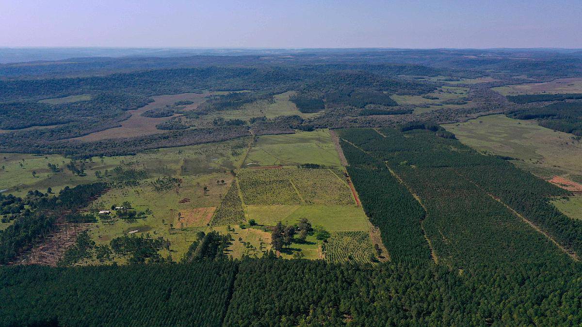 Pcia. de Misiones - Cerro Azul, 137 Has. 137 hectáreas. - Agroads