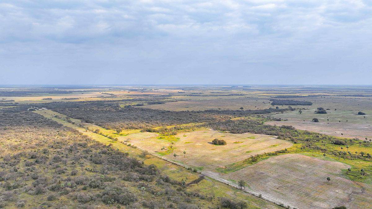 Pcia. de Entre Rios - Federal 2564 Has. 2564 hectáreas. - Agroads