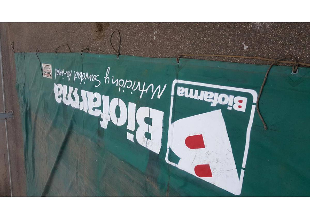 Lonas con Logos de la Empresa Pintados - $ 22 - Agroads