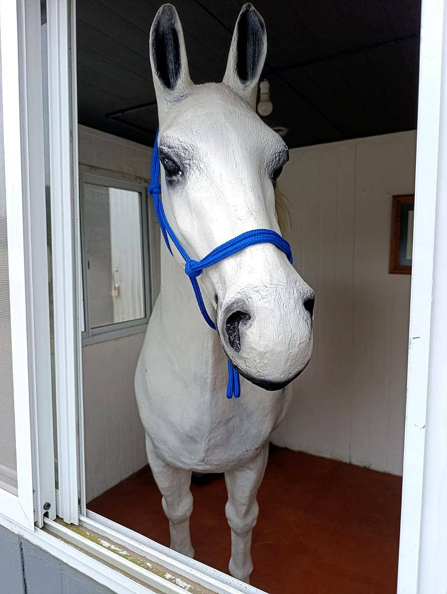 Caballo Fibra de Vidrio Tamaño Natural - $ 800.000 - Agroads