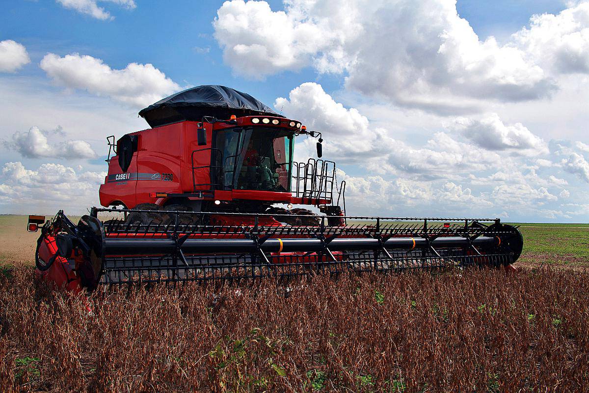 Cosechadora Grano Case IH Axial Flow 7230 - Año: 2020 - Agroads