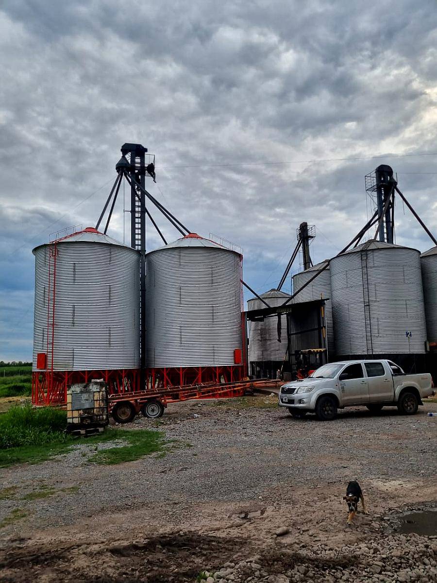 Planta de Silos 480 TN. con Noria de Alimentación - Agroads