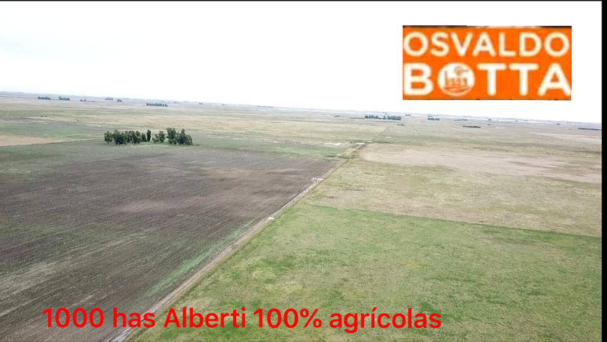 1000 Hectareas Agricolas en Alberti - u$s 10.000 / ha - Agroads