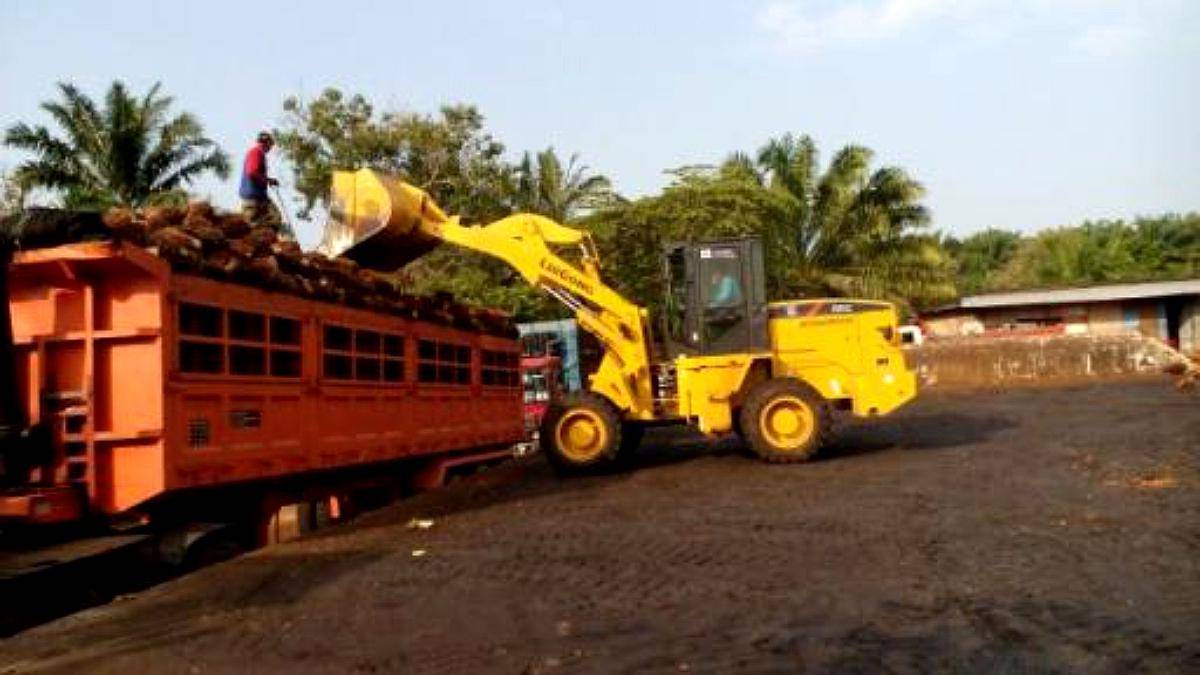 Cargadora Liugong 820c.- Balde 1,5 Mts. Carga 2000 Kg - Agroads