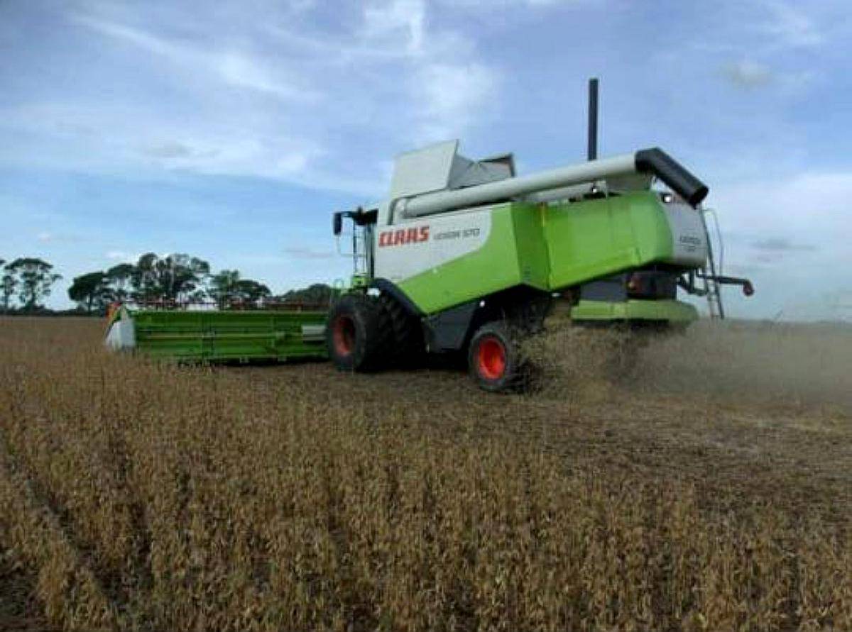 Claas 570 (40 Pies Bulgara) - Año: 2009 - Agroads