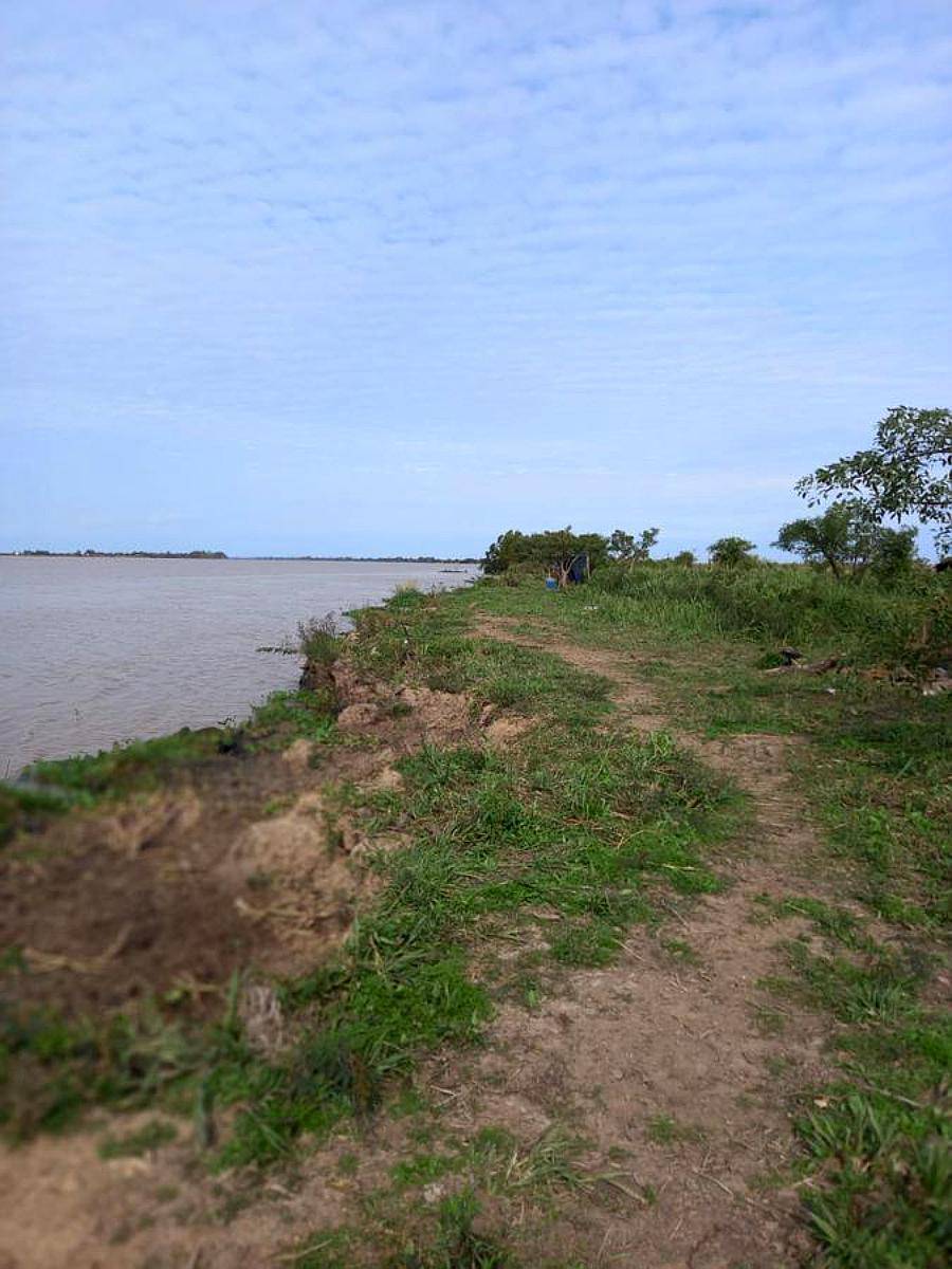 Puerto Ibicuy, Entre Ríos - 450ha. 450 hectáreas. - Agroads