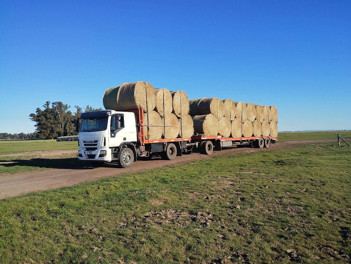 Rollos Pastura , Paja, Alfalfa, ETC - $ 6.900 - Agroads