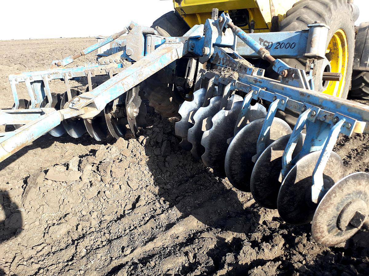 Arado Taipero Acosta con Rolo, Poco USO - Agroads (cod: 738162)