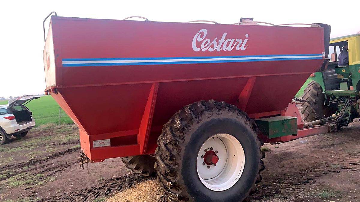 Cestari 14 Tons. 2r año 1996 Impecable - Año: 1996 - Agroads