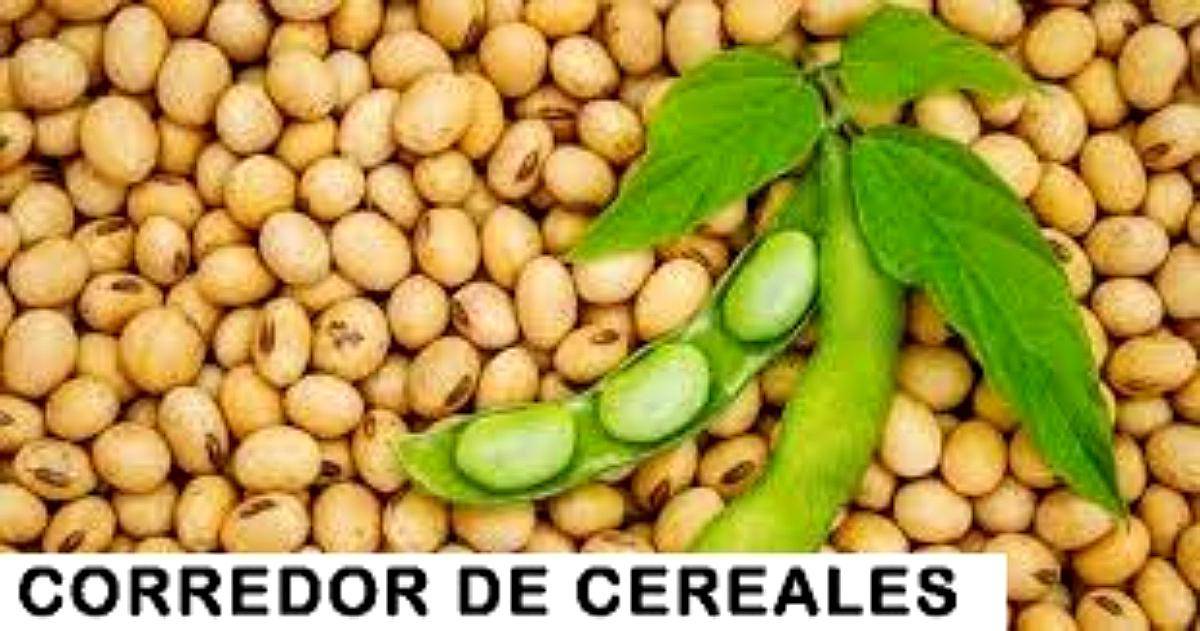 Soja en Provincia de Cordoba - u$s 212 - Agroads