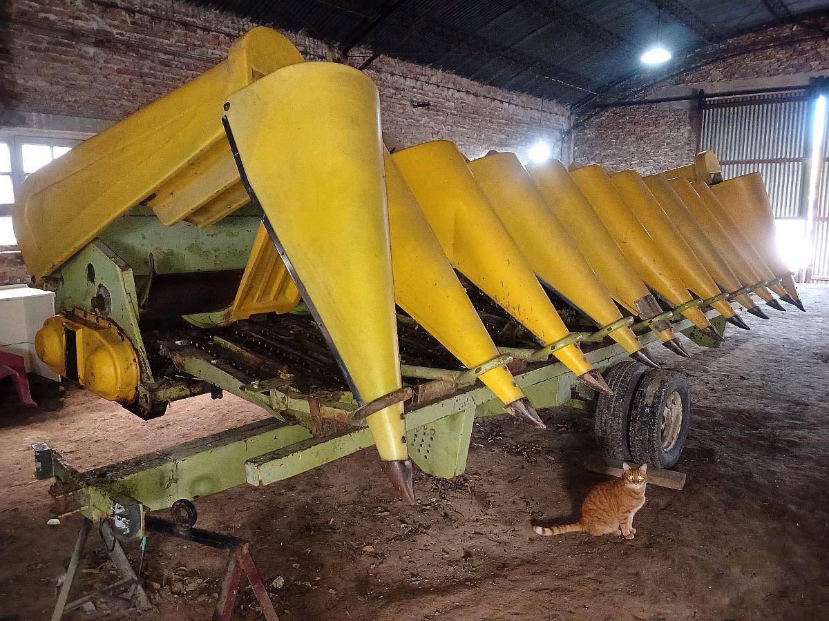 Alliochis de 10 a 52 Percha Don Roque - Año: 2000 - Agroads