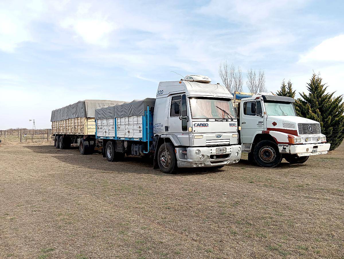 Camión Ford Cargo 1832 - Año: 2008 - u$s 40.000 - Agroads