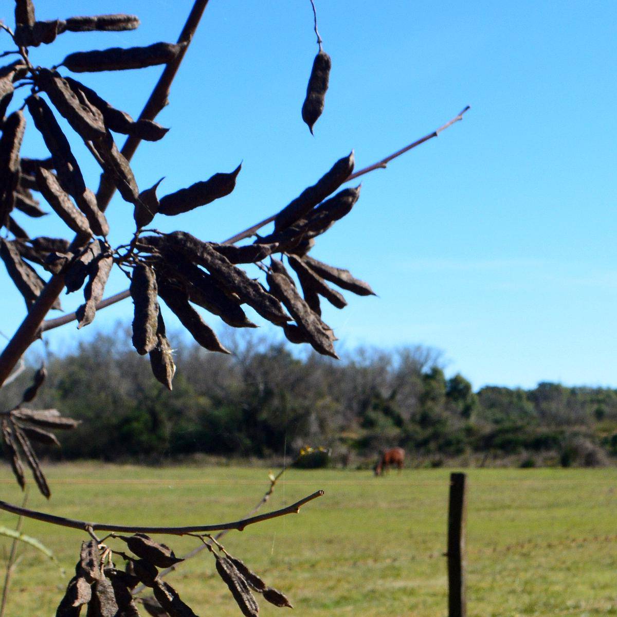 Campos Sobre Ruta 14 - Dto. Colón. Entre Ríos - Agroads