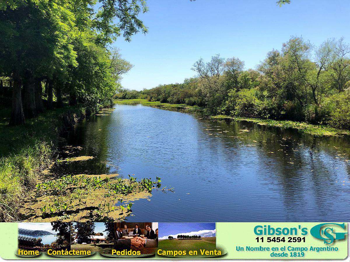 Entre Rios Ibicuy-ceibas Cria-invernada Oportunidad Retazado - Agroads