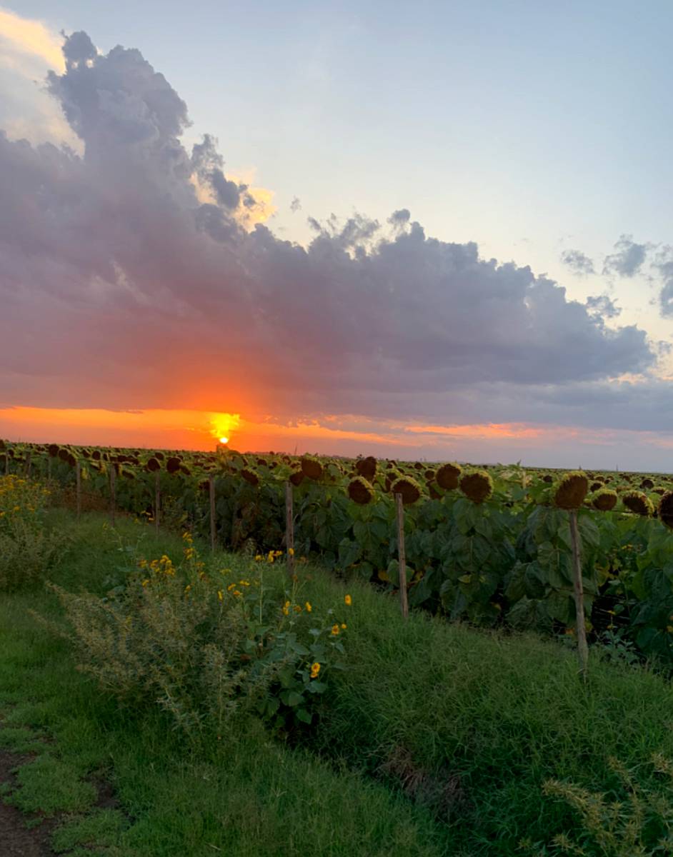 Campo Mixto en Venta. 110 hectáreas. - Agroads