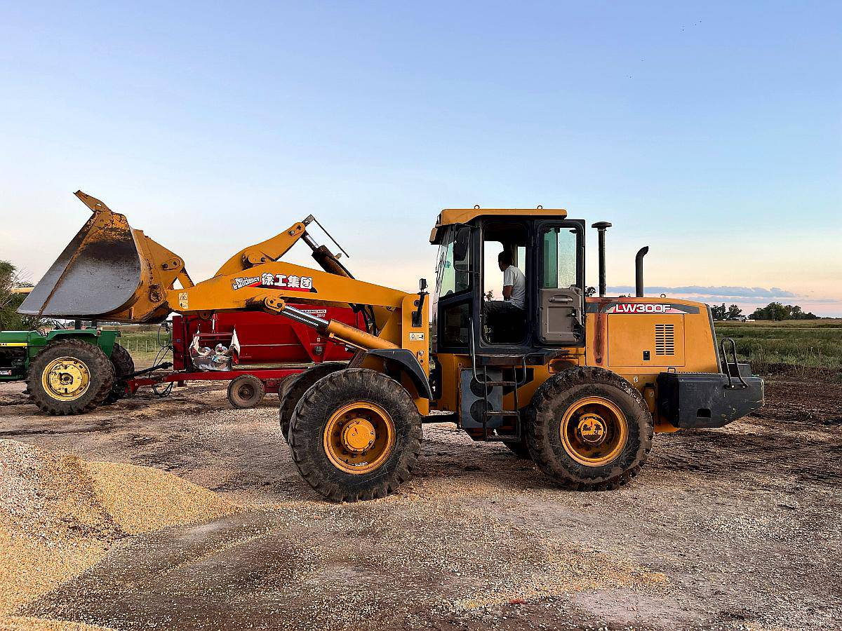 Pala Cargadora Xcmg LW300 de 2 Mts. Sinelli Maquinarias - Agroads