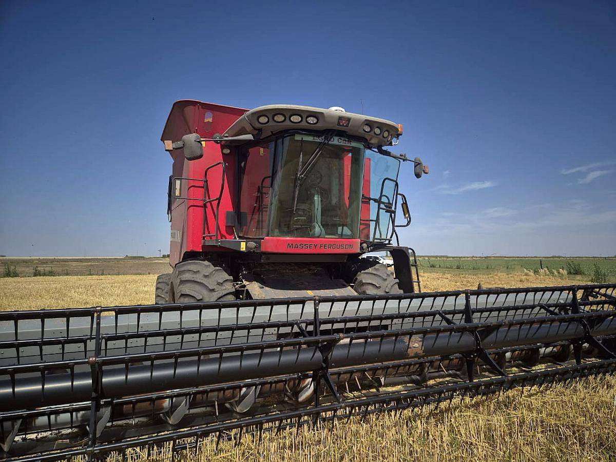 Cosechadora Massey Ferguson 9690 - Año: 2011 - Agroads
