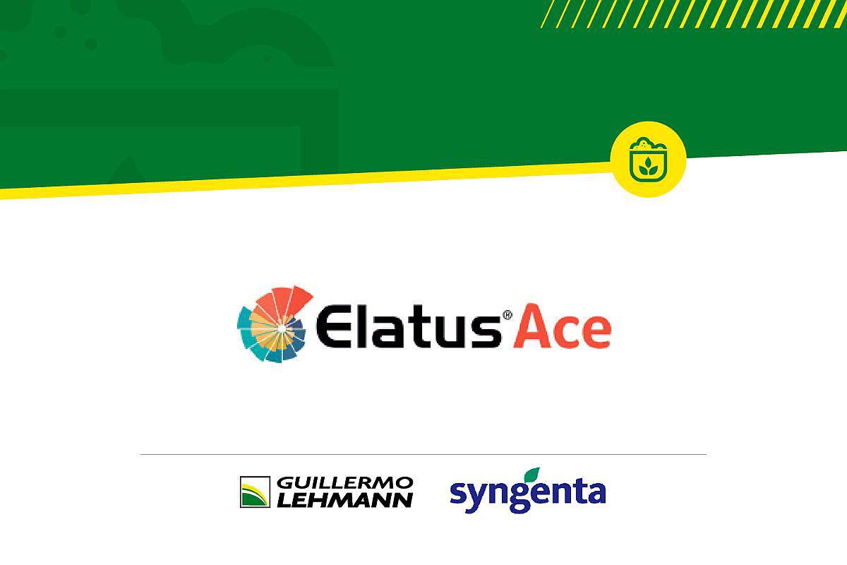 Elatus ACE - Fungicida Syngenta - Agroads