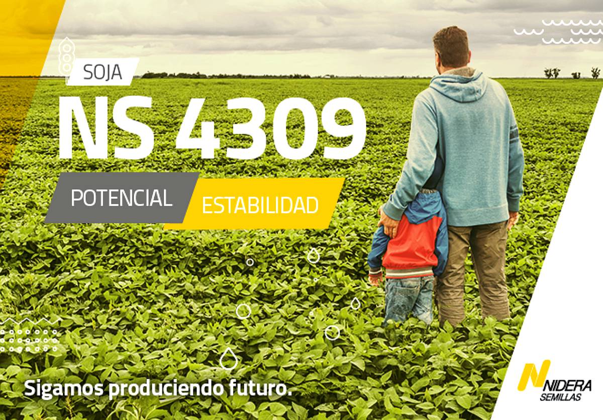 Semilla de Soja NS 4309 - Semillas Nidera - u$s 22 - Agroads