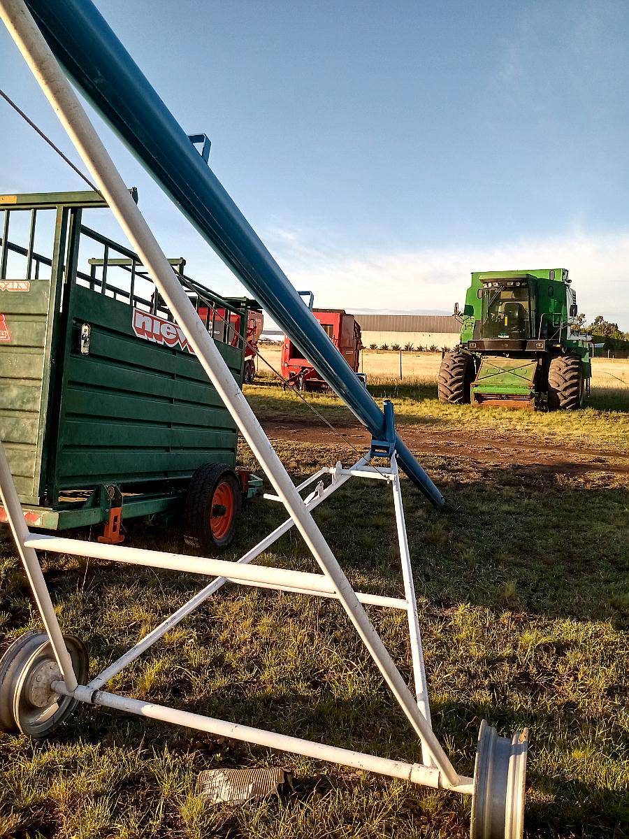 Chimango Sinfin para Sembradora - Año: 2021 - Agroads