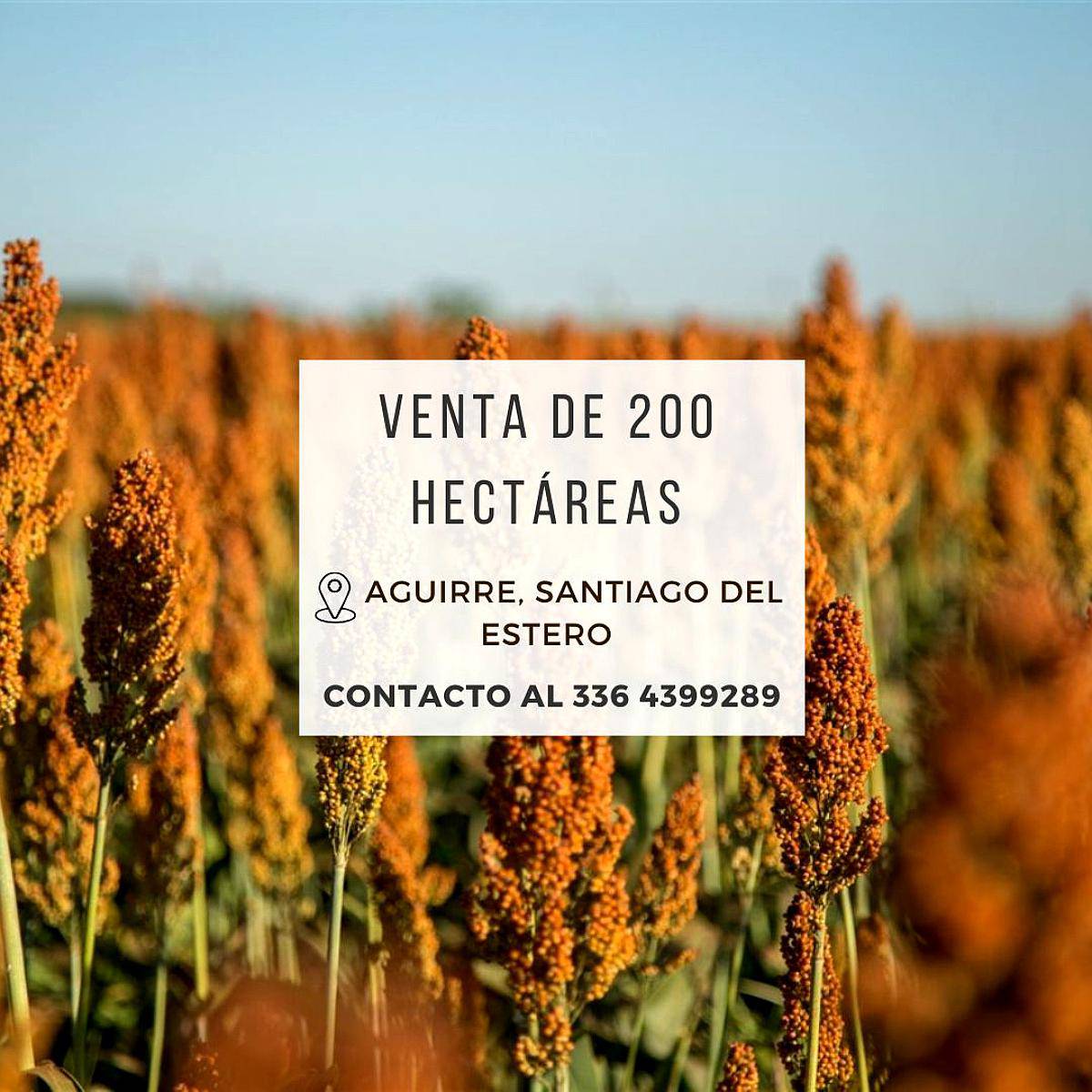 Campo de 200 Has en Aguirre (sgo. del Estero) - Agroads