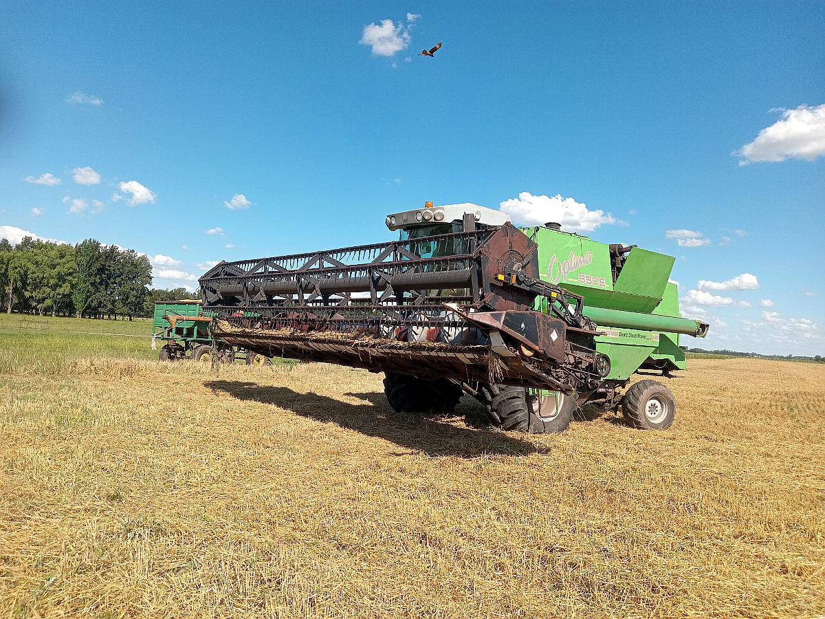 Cosechadora Agco Allí 2007 Doble Traccion - Año: 2007 - Agroads