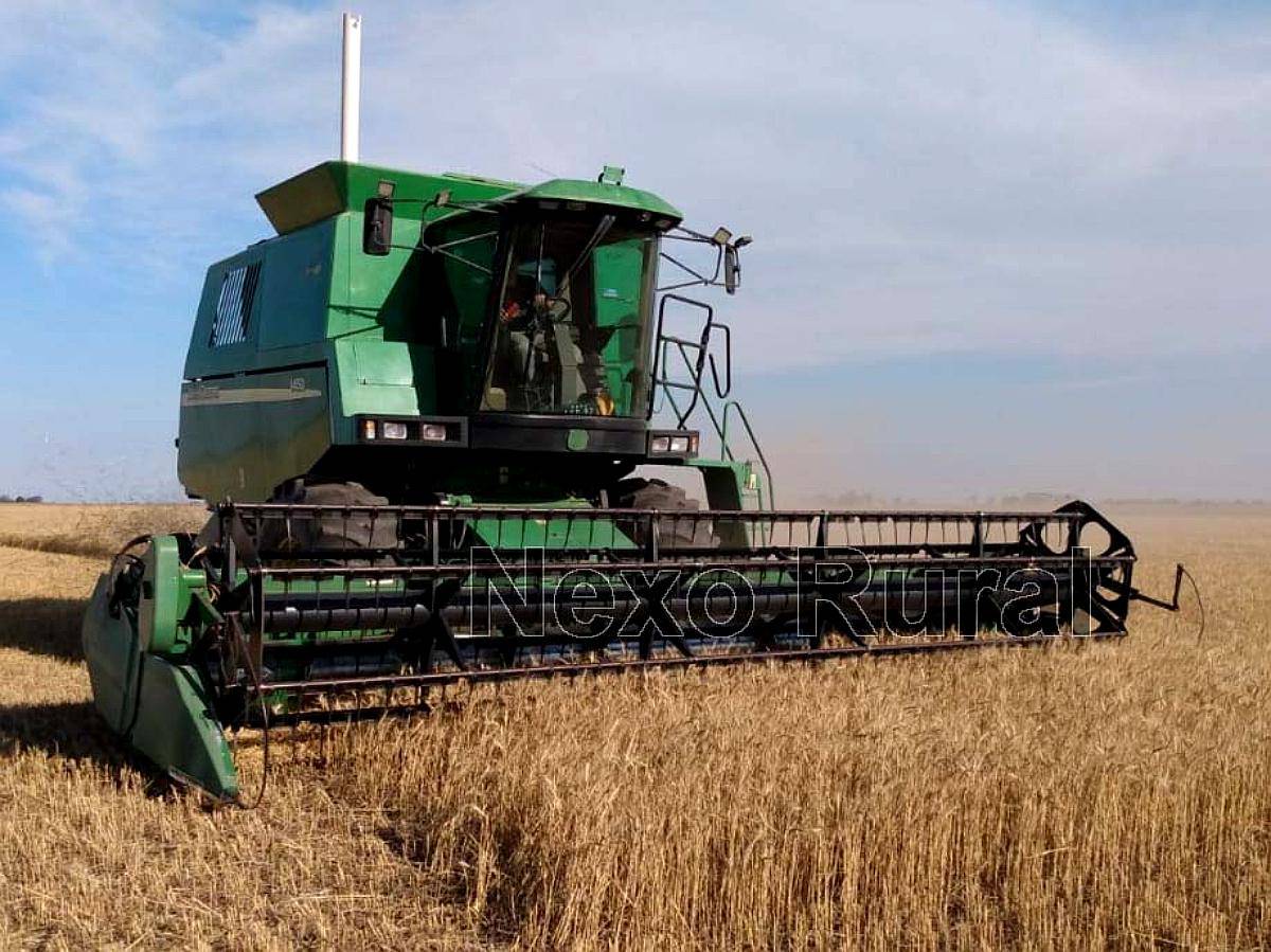 John Deere 1450. 2005 4550/6100 Hs 325 Pies - Año: 2005 - Agroads