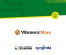 Vibrance Integral - Curasemillas Syngenta - Agroads