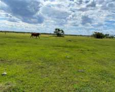 Campos en Entre Ríos - Agroads