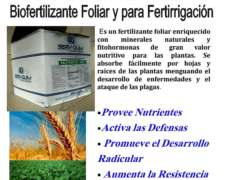 Fertilizantes - Agroads