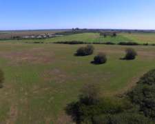 Campos en Entre Ríos - Agroads