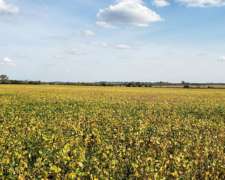Campos en Entre Ríos - Agroads