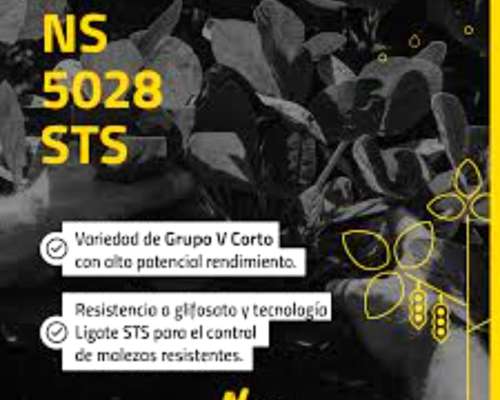 Soja Nidera 5028 STS - u$s 220 - Agroads