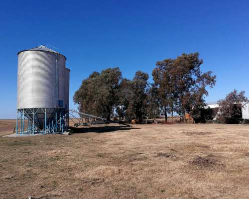 General Lopez , Santa FE, Argentina - u$s 5.000.000 / ha - Agroads