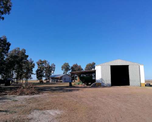 General Lopez , Santa FE, Argentina - u$s 5.000.000 / ha - Agroads