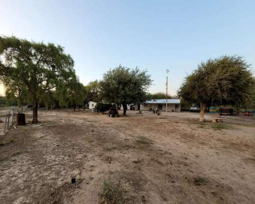 Vendo o Alquilo Campo en Santiago del Estero. 430 hectáreas. - Agroads