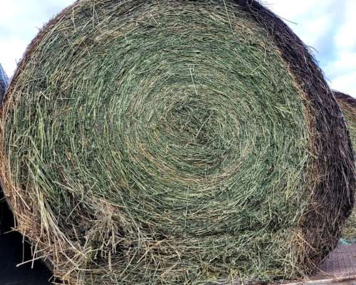 Fardo de Primera Calidad - Agroads (cod: 933494)