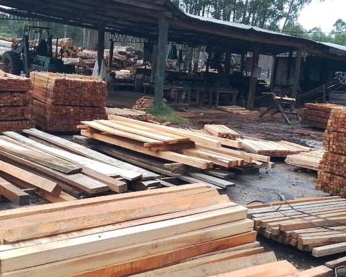 Madera Eucaliptus, Rostrata, Colorado:tablas, Tirantes, Etc. - Agroads