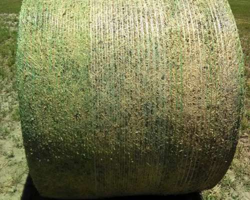 Rollos Puros de Alfalfa con Cutter y Malla - $ 85 - Agroads
