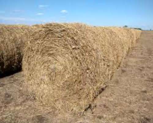 Rollos de Soja . - $ 13.000 - Agroads