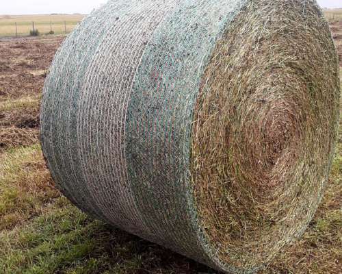 Rollos de Pasto Natural. - $ 16.000 - Agroads