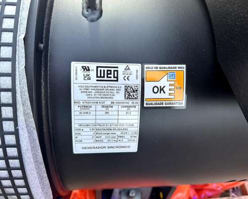 Alternadores WEG para Generadores Grupos Electrógenos - Agroads