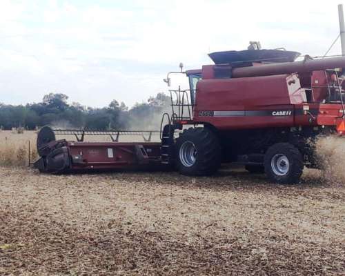 Cosechadora Case 2688 2012 - Draper REF Piersanti 35 Pies - Agroads